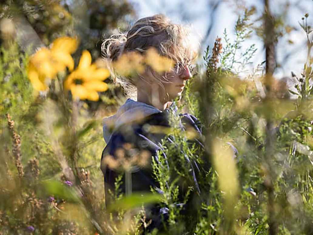 A new look, the same values | Triodos Bank