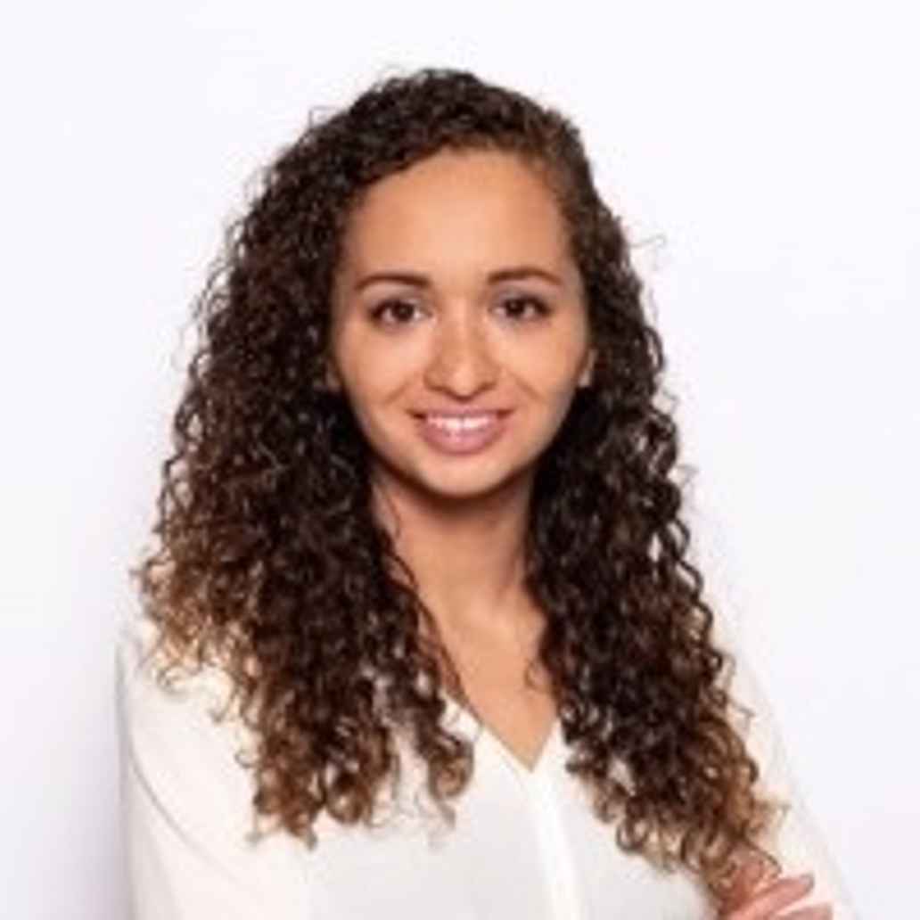 Comparing companies – Toyota and Tesla | Triodos Bank