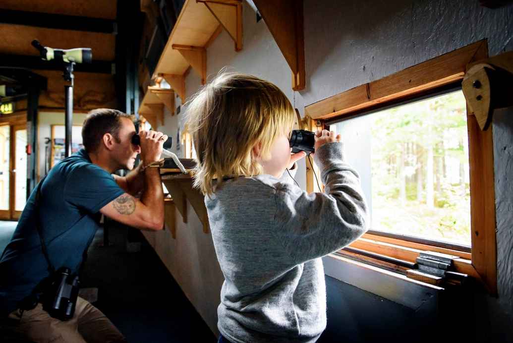 Q and A with Anne McCall, RSPB Scotland | Triodos Bank