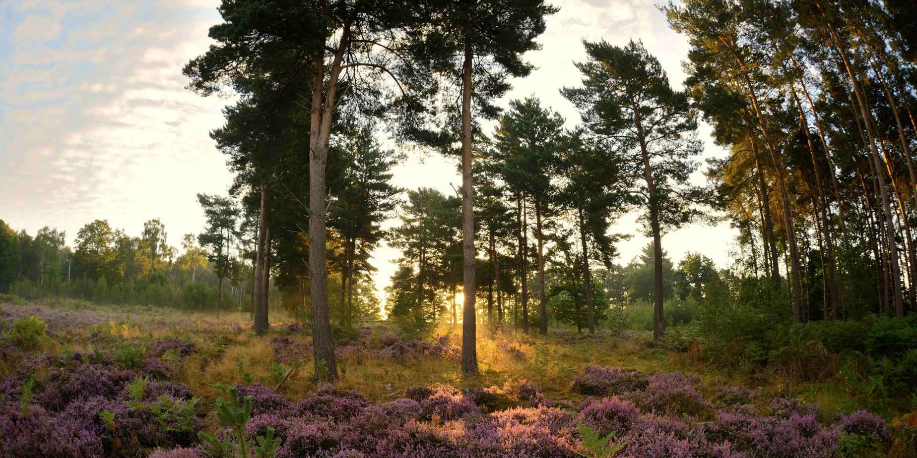 New RSPB café designed with wildlife in mind