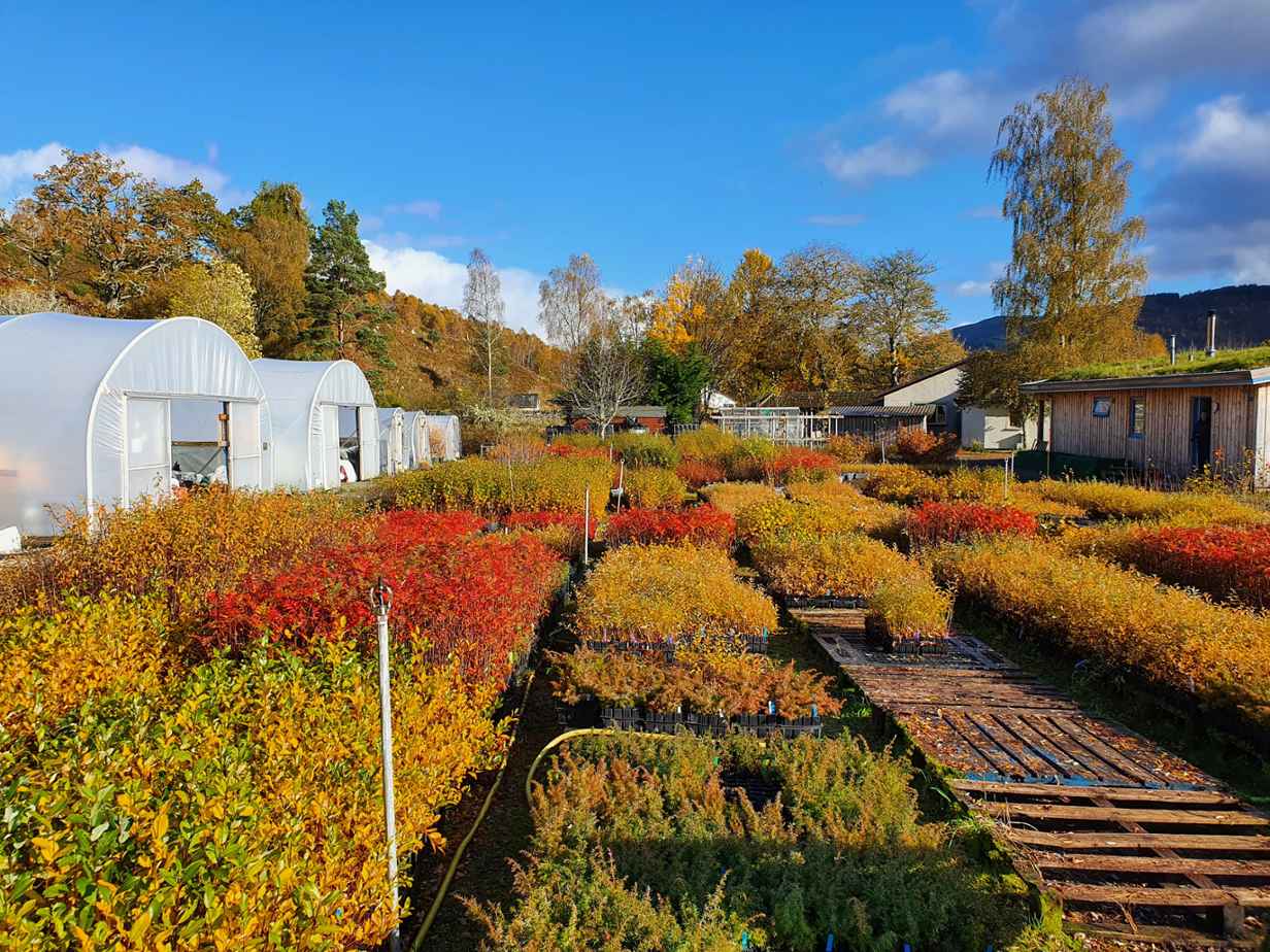World’s first rewilding centre opens in Scottish Highlands