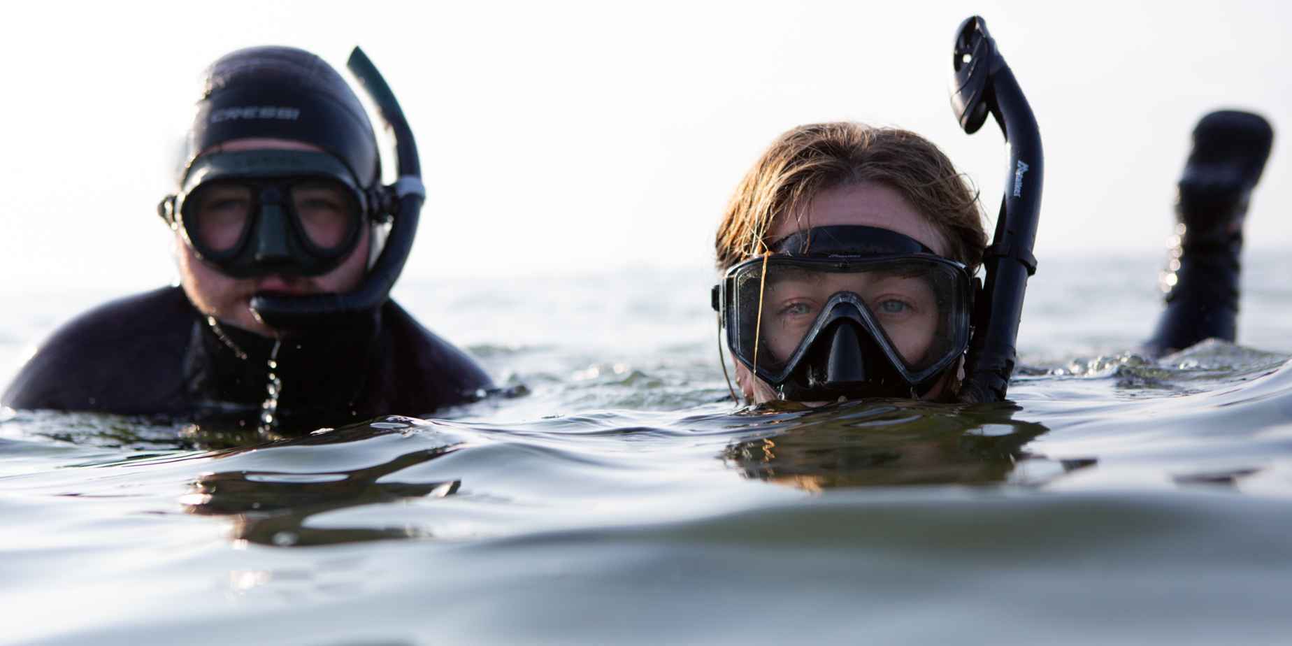 Sea, Land and City: solutions for nature