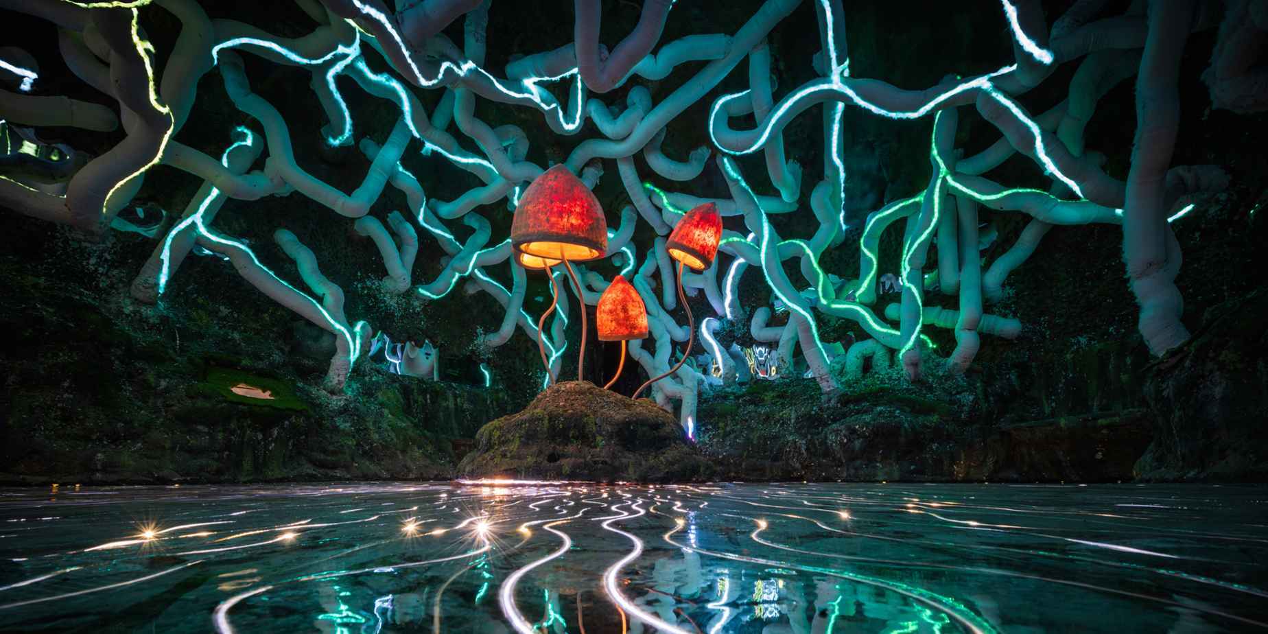 Why Triodos is different: the importance of our minimum standards