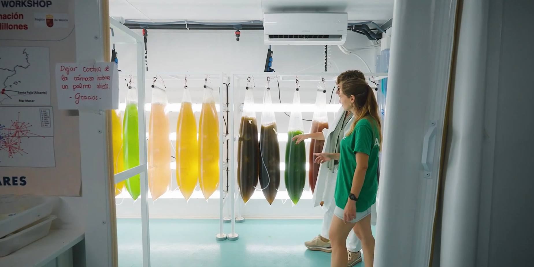 Triodos invests in nature-based solutions | Triodos Bank