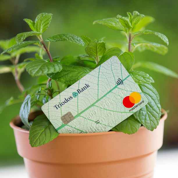 Ethical Current Account | Triodos Bank