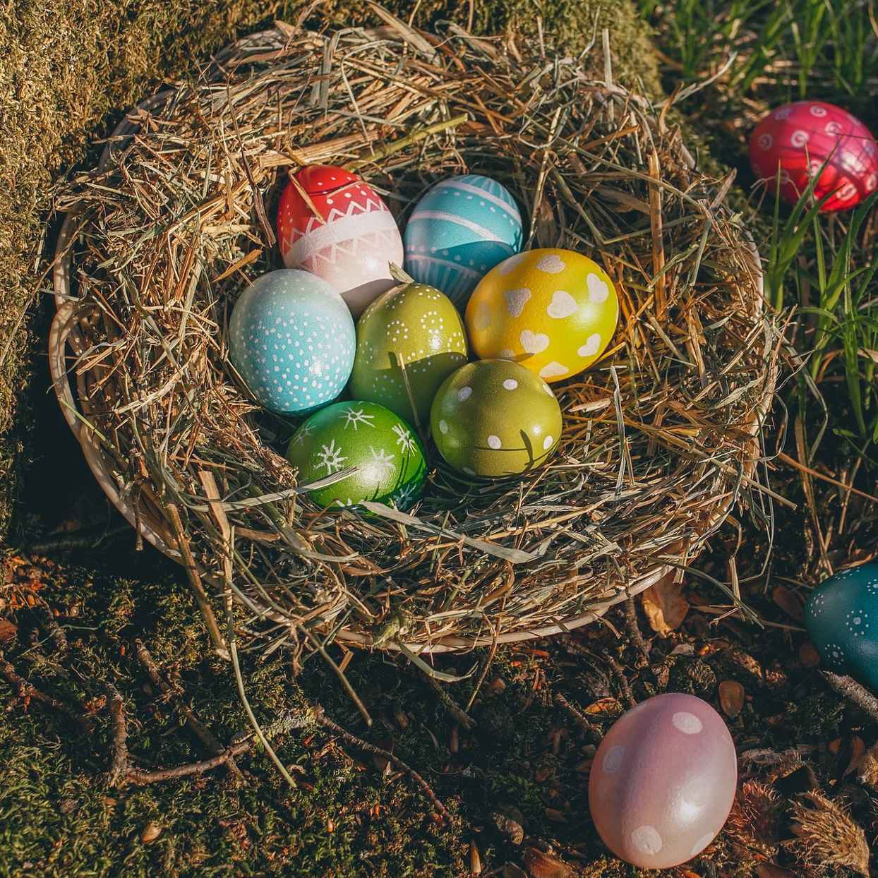 Recipes for a cracking eco-friendly Easter | Triodos Bank