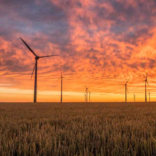 Stocks and Shares ISA | Ethical Investments