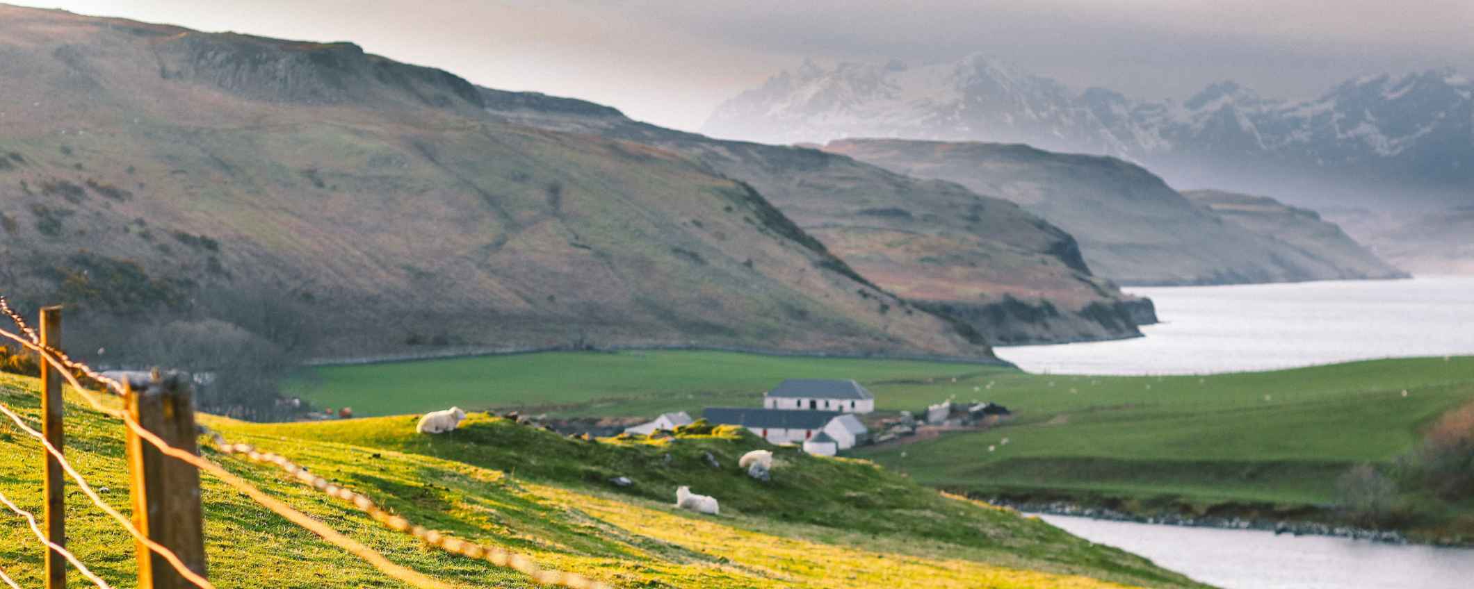 Meet... Michelle Wilson