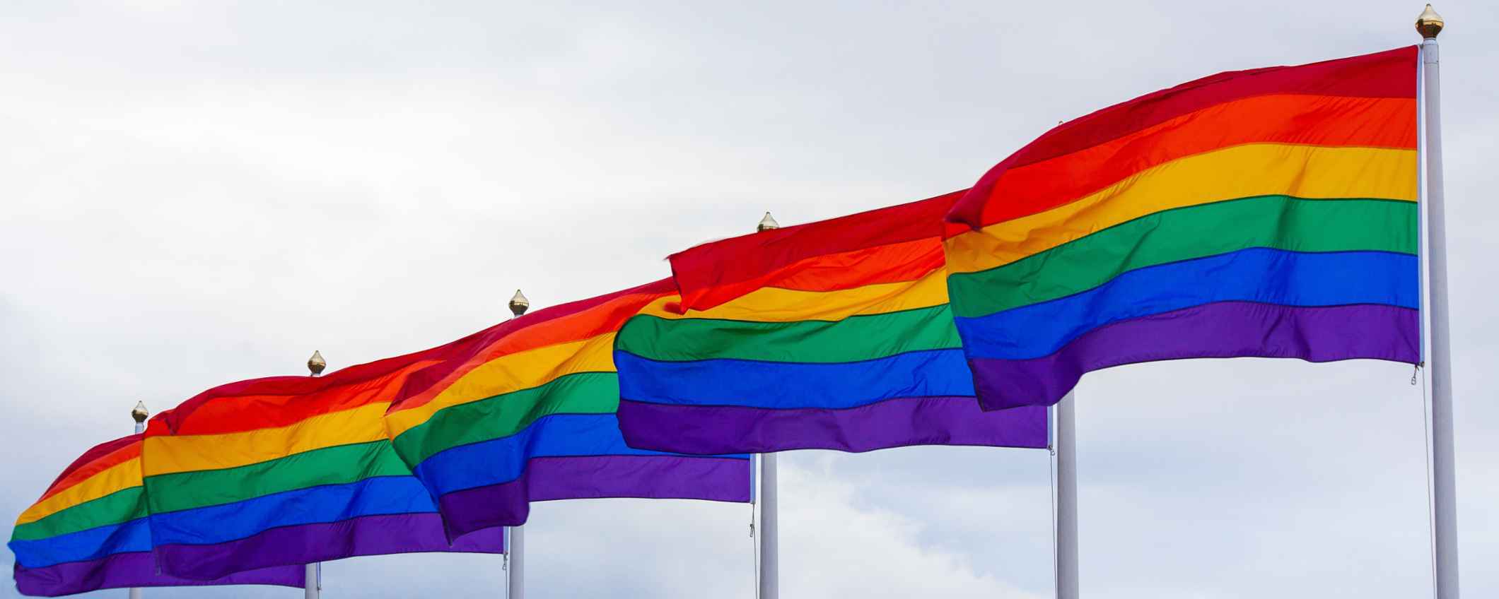 What does Pride mean to you? | Triodos Bank