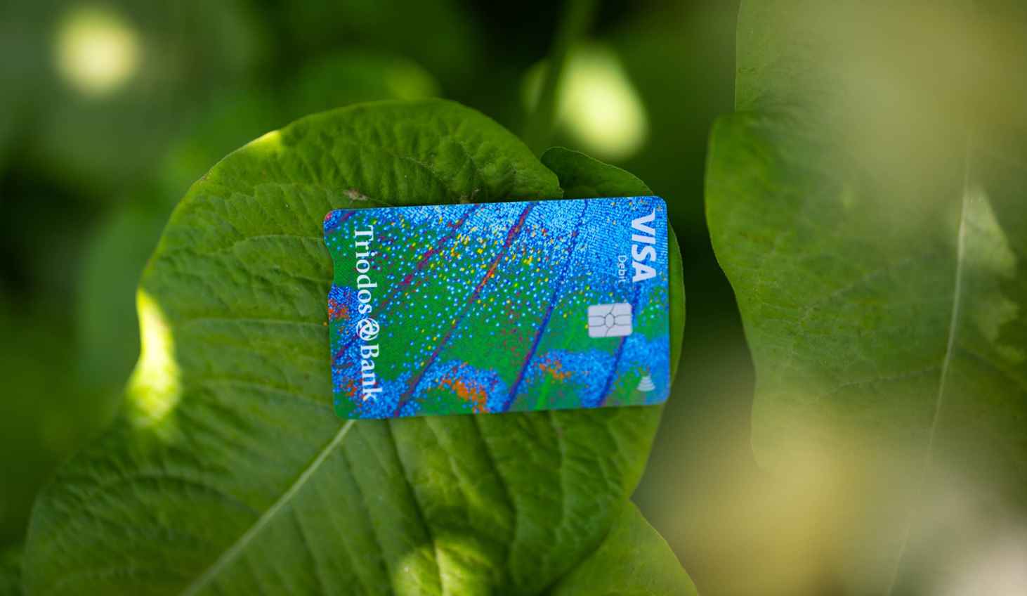 Triodos given Best Buy status by Ethical Consumer | Triodos Bank