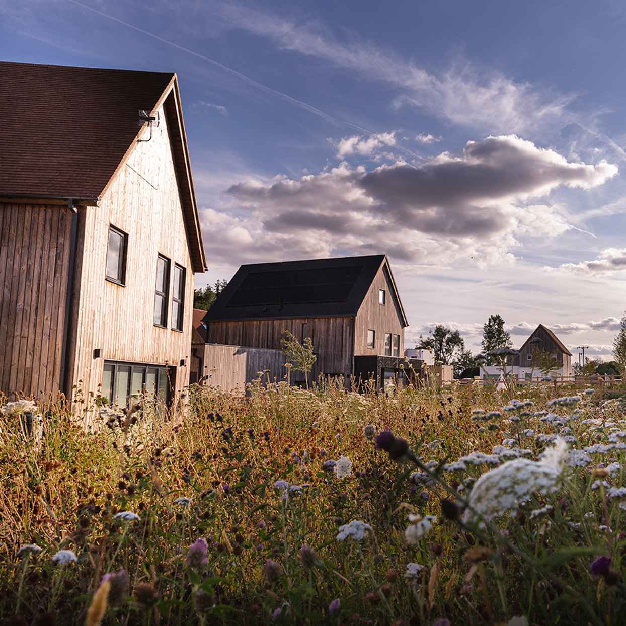 Homes with a community in mind – climate-positive houses providing a ...