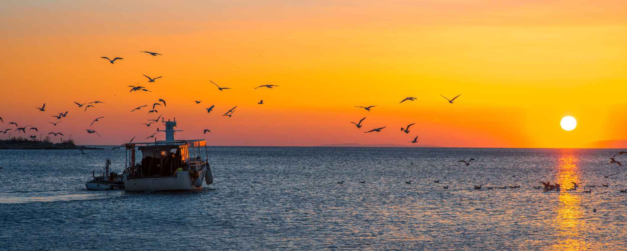 A deep dive into Fishtek Marine’s pioneering ocean protection solutions ...