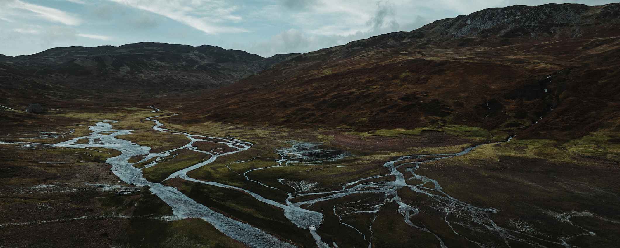 Landmark new lending to help scale conservation