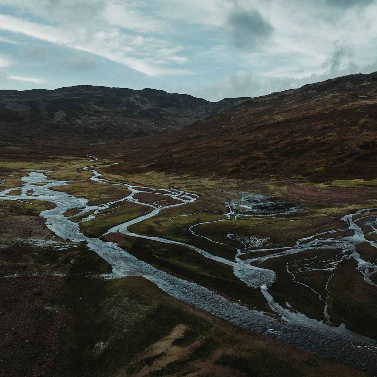 Landmark new lending to help scale conservation