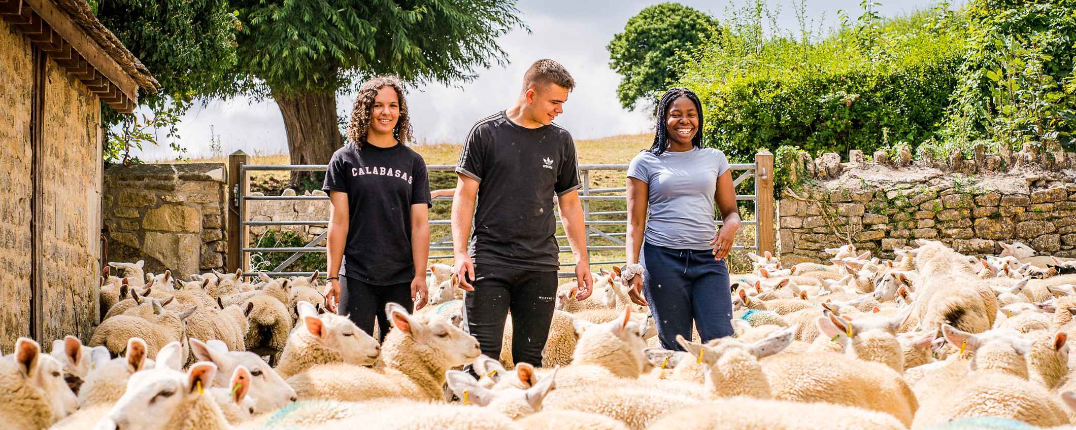 Cultivating community at Jamie's Farm