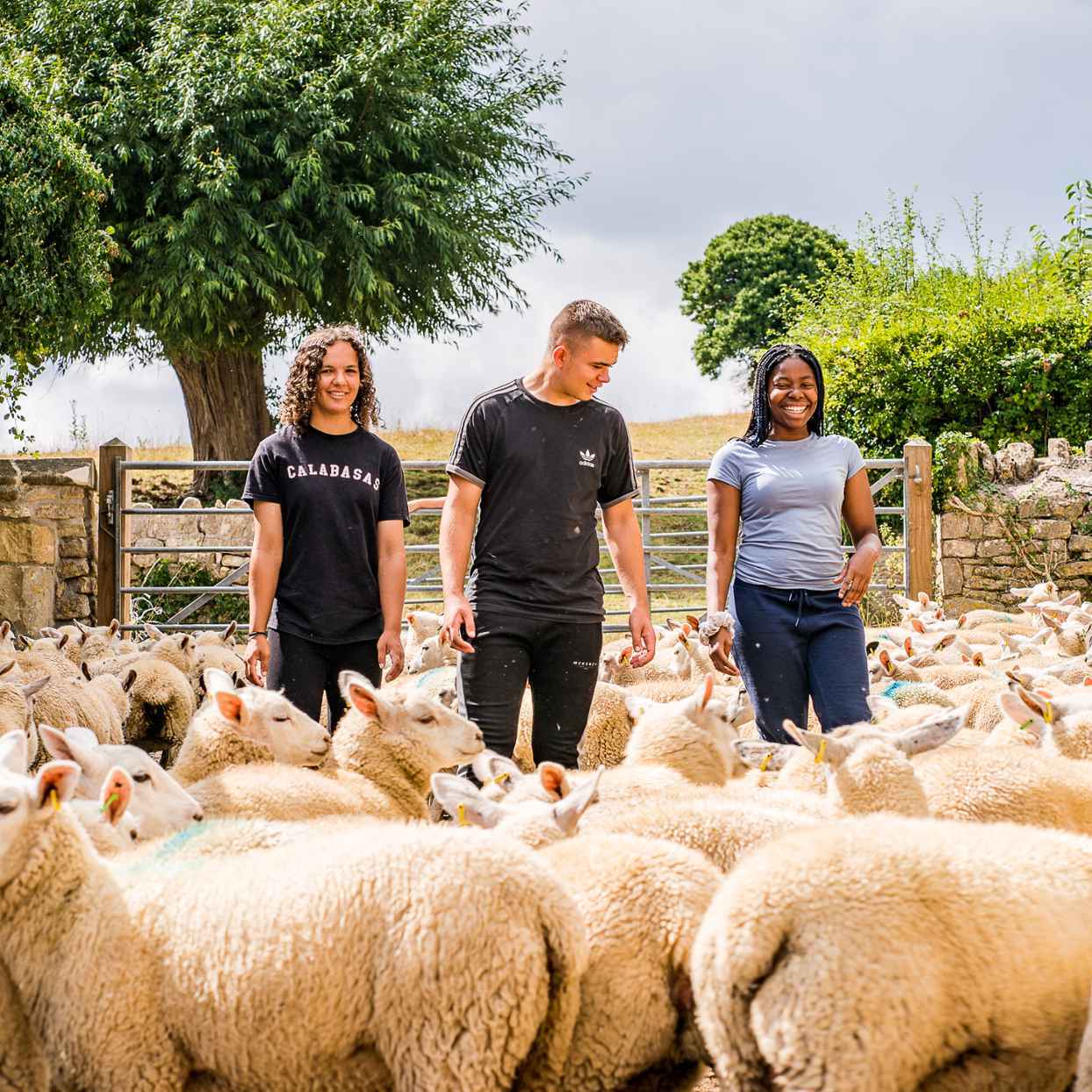 Cultivating community at Jamie's Farm