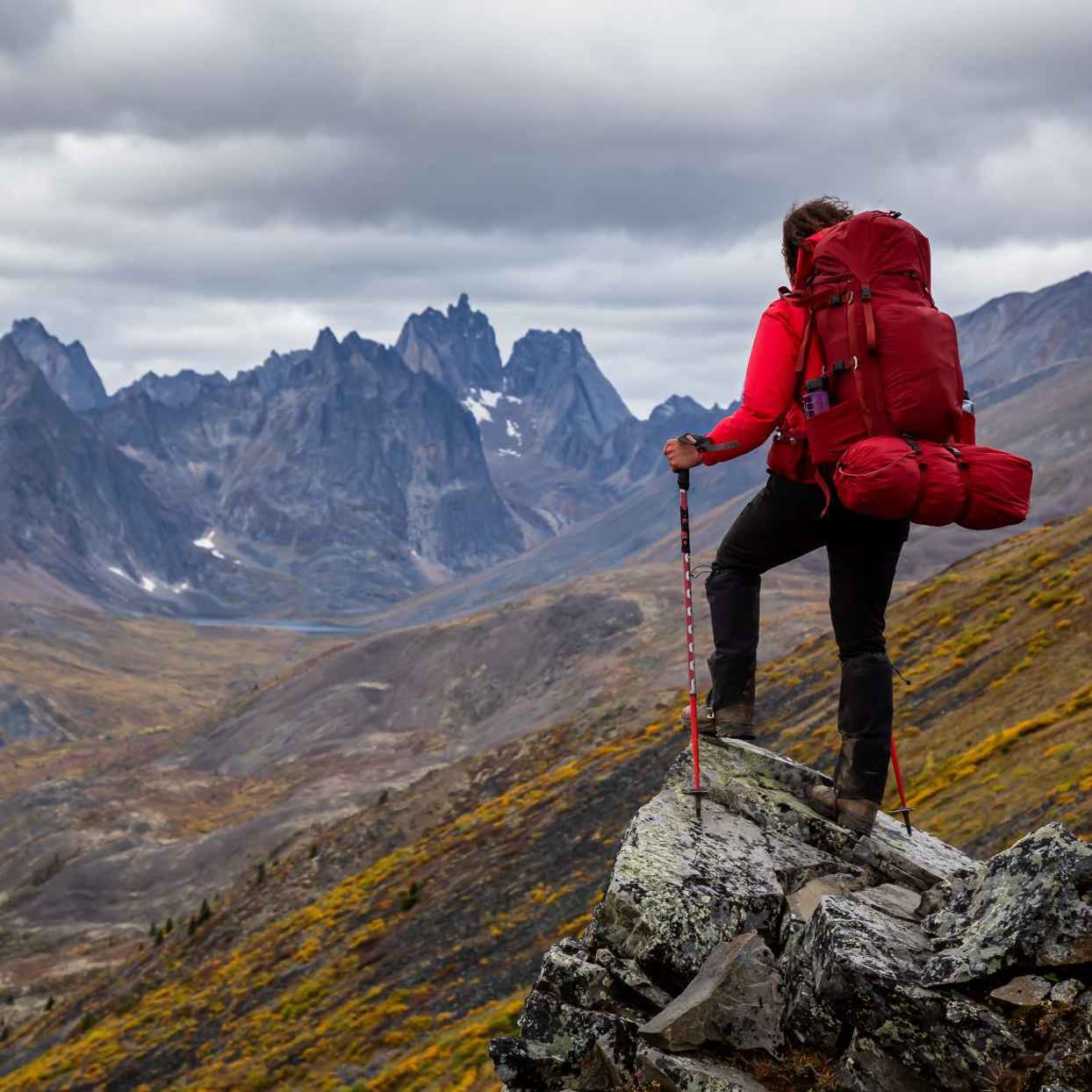Triodos Pioneer Impact Fund: investor update Q1 2024