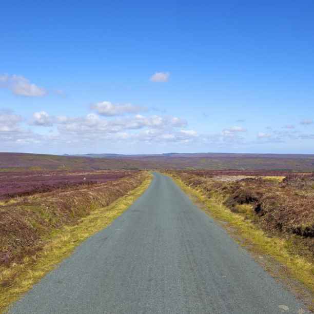 Stocks and Shares ISA | Ethical Investments