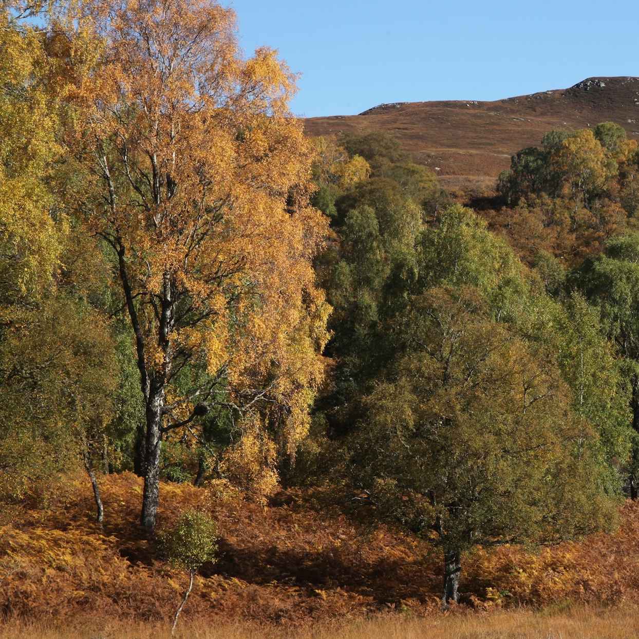 How to prepare for the 2024 Autumn Budget