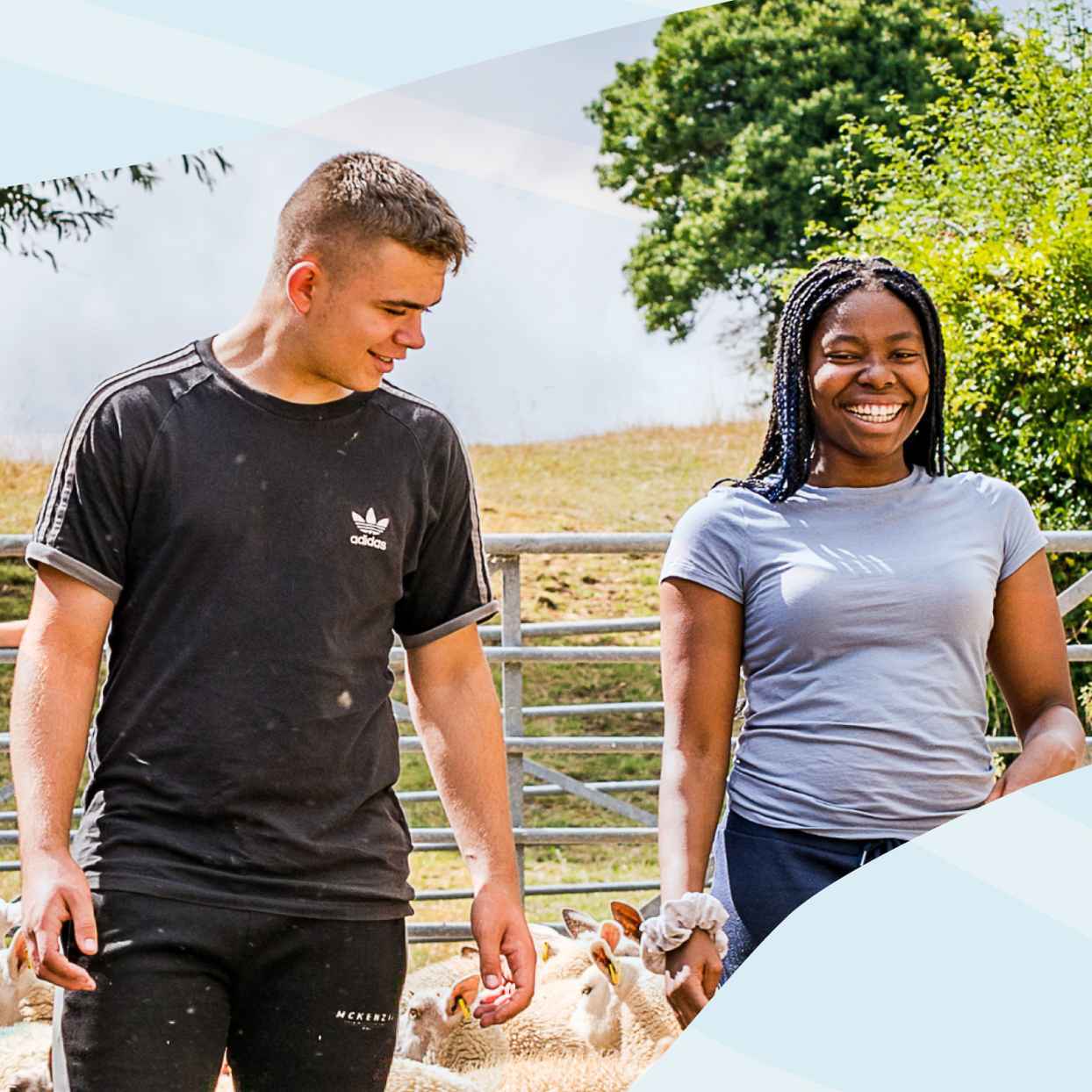 Stories of transformative impact: Jamie's Farm