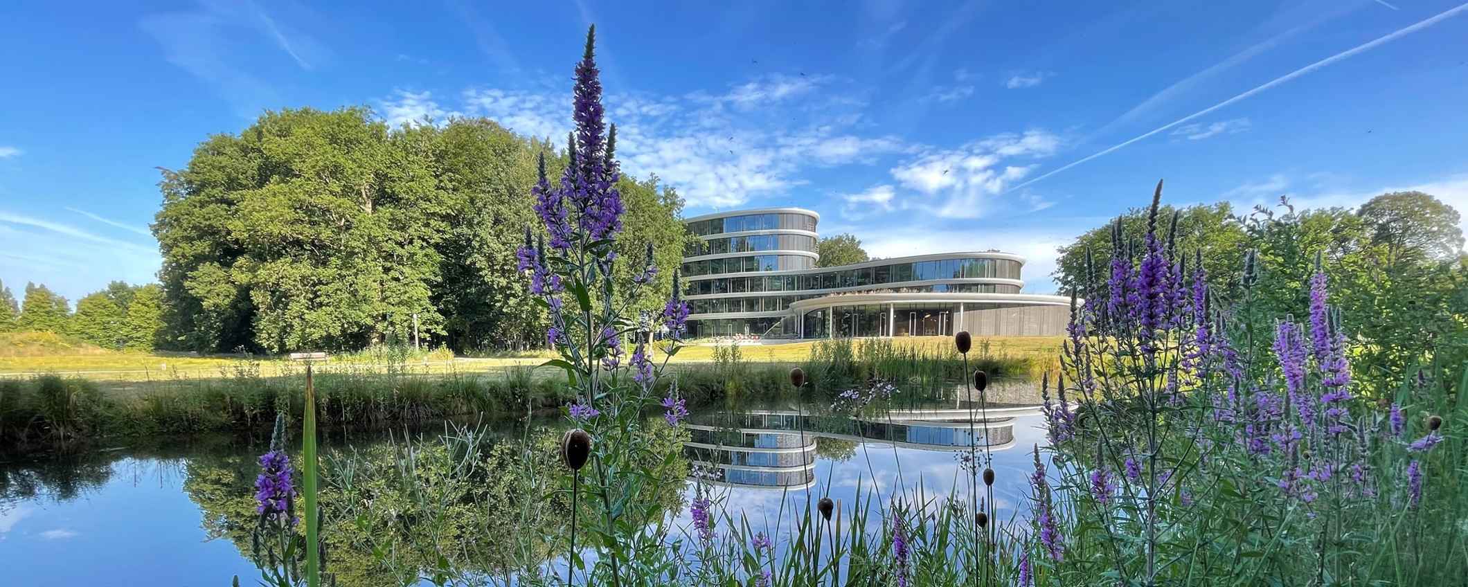Triodos invests in nature-based solutions | Triodos Bank