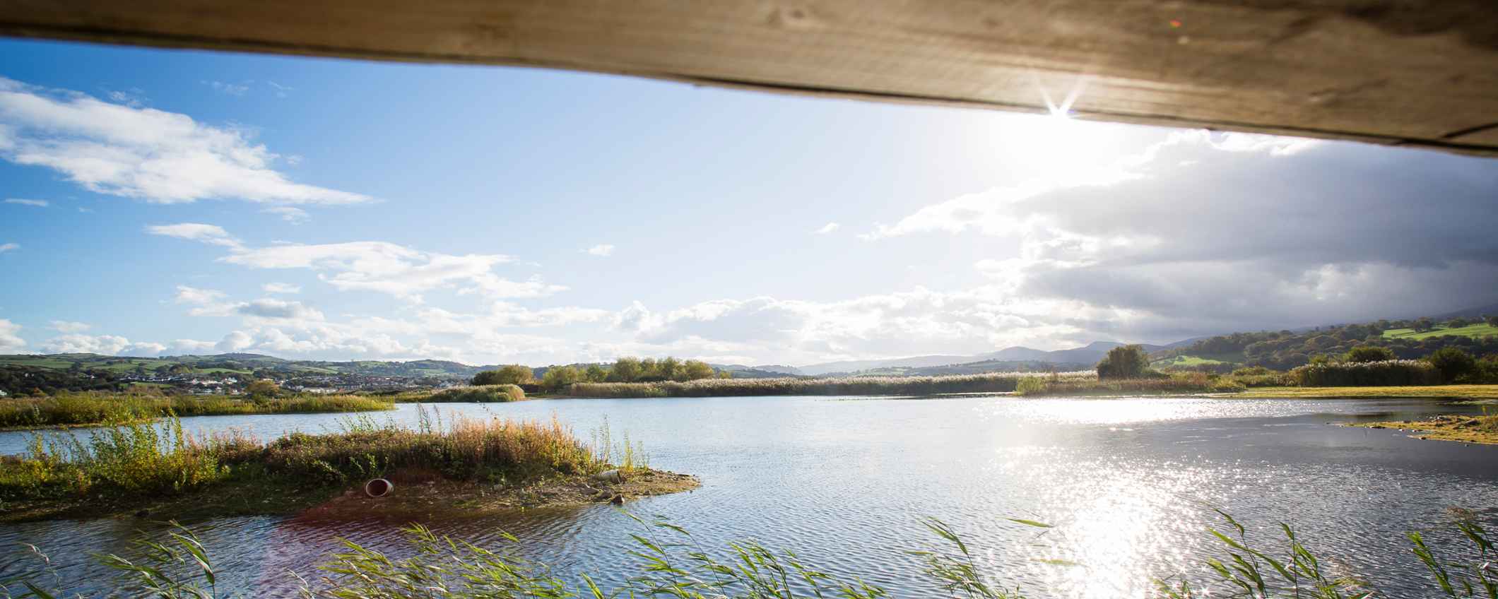 Why Triodos is different: the importance of our minimum standards