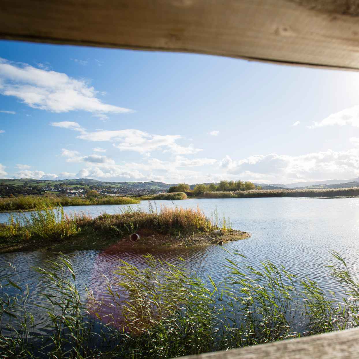 Why Triodos is different: the importance of our minimum standards