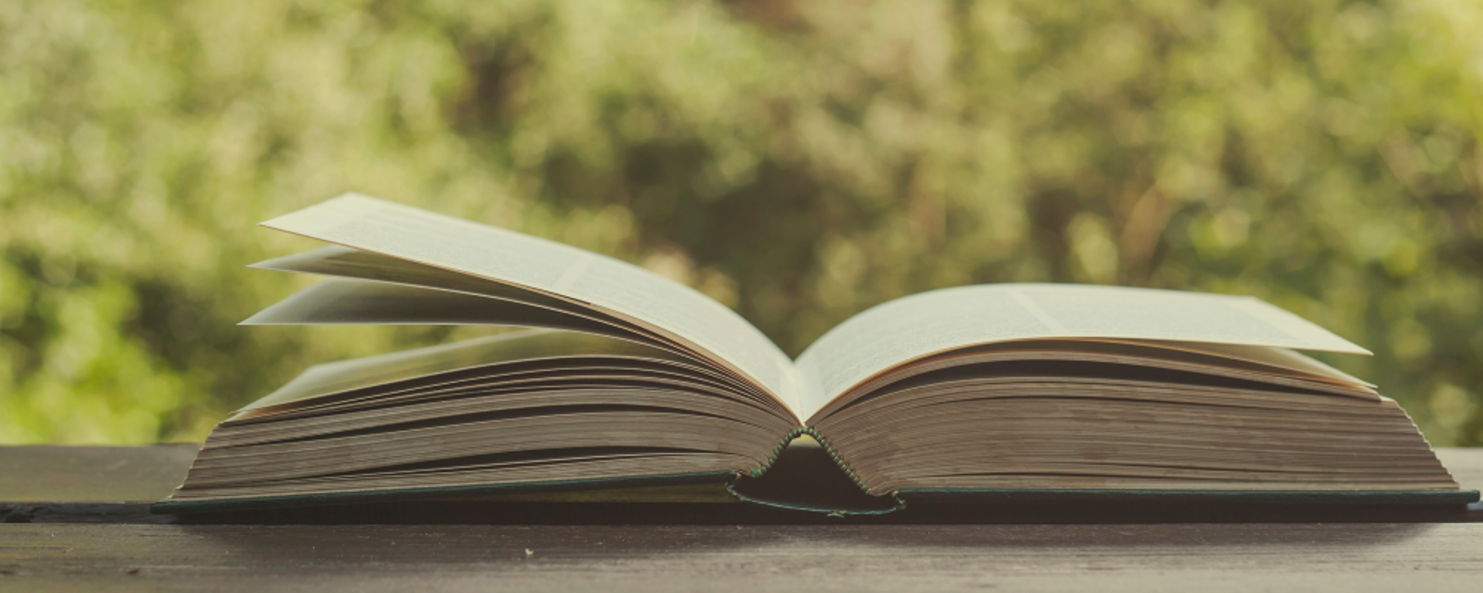 Triodos Bank top summer book recommendations 2024