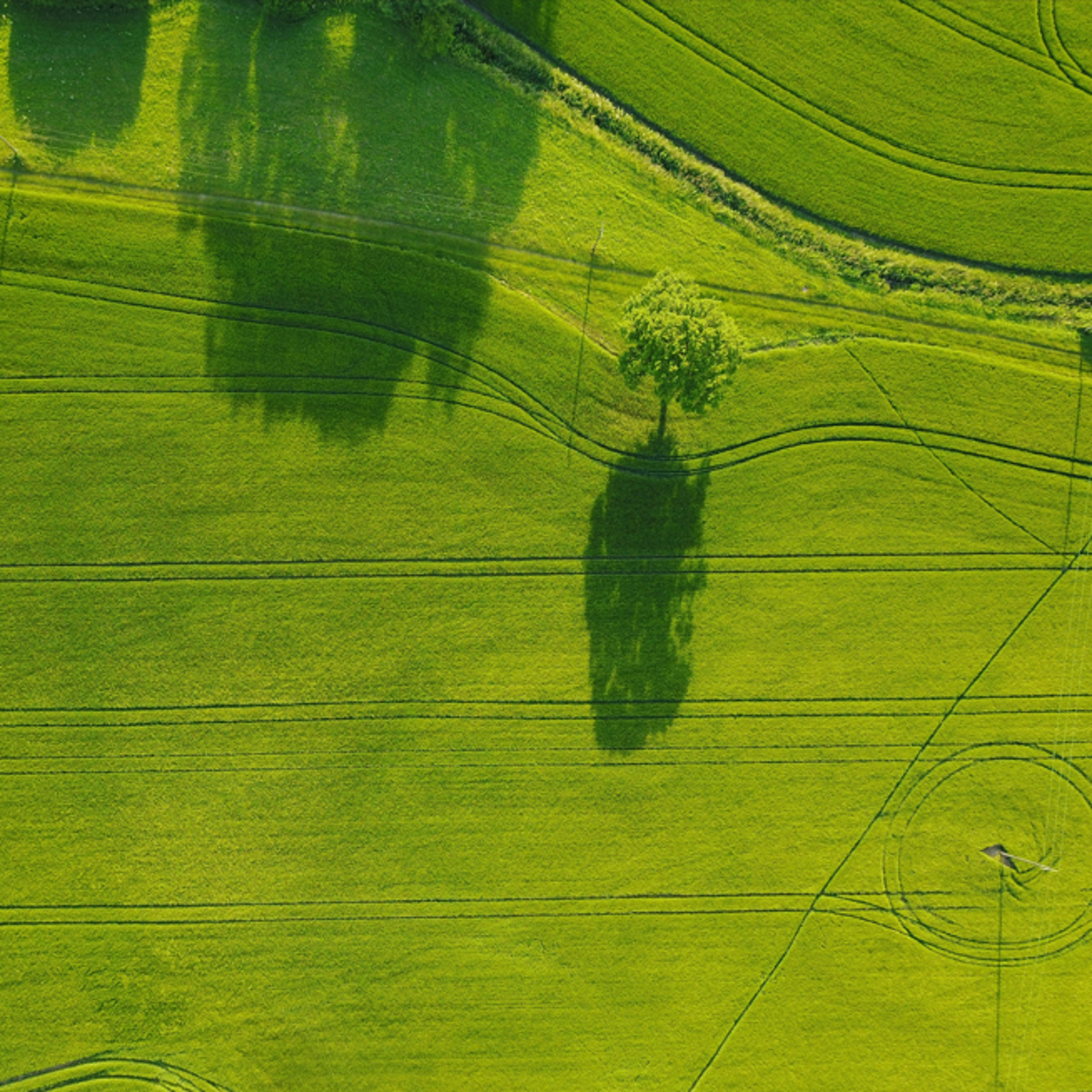 What is an ethical ISA and how are Triodos ISAs different?