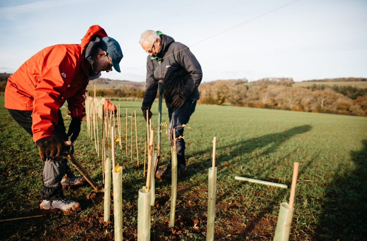 How your savings can have impact | Triodos Bank