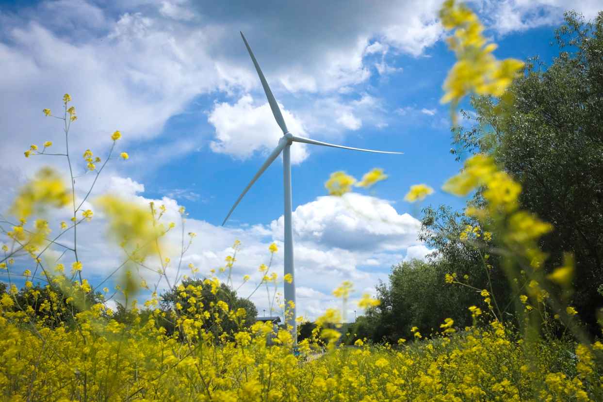 Rising energy prices & the green transition | Triodos Bank