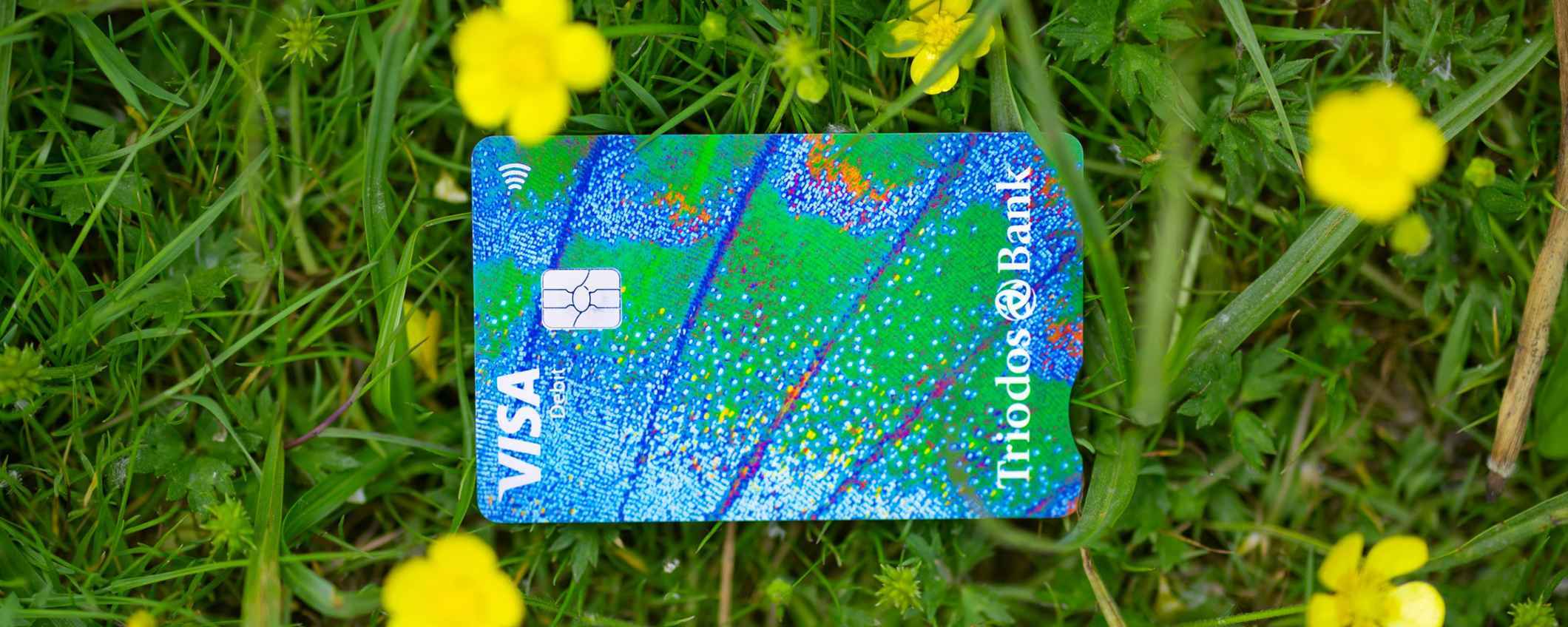 Triodos Bank awarded ‘Best Buy’ by Ethical Consumer