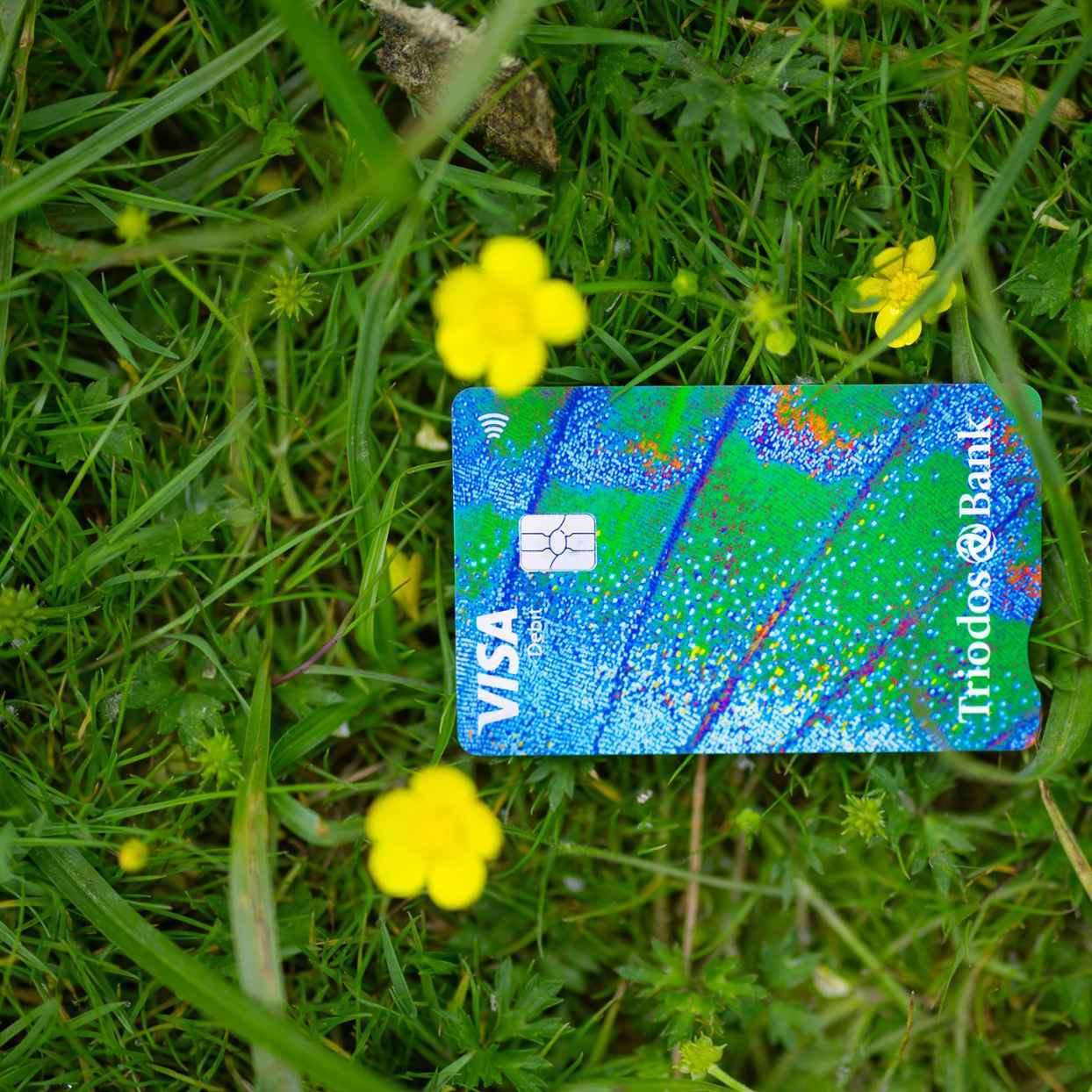 Triodos Bank awarded ‘Best Buy’ by Ethical Consumer
