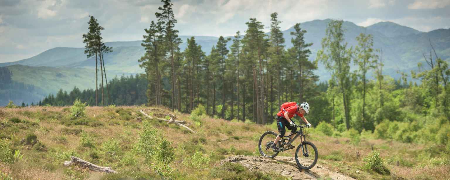 The change maker: Comrie Croft | Triodos Bank