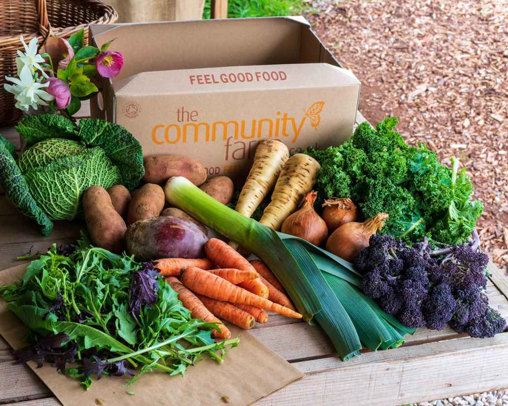 How organic farmers are navigating the cost of living crisis – an ...