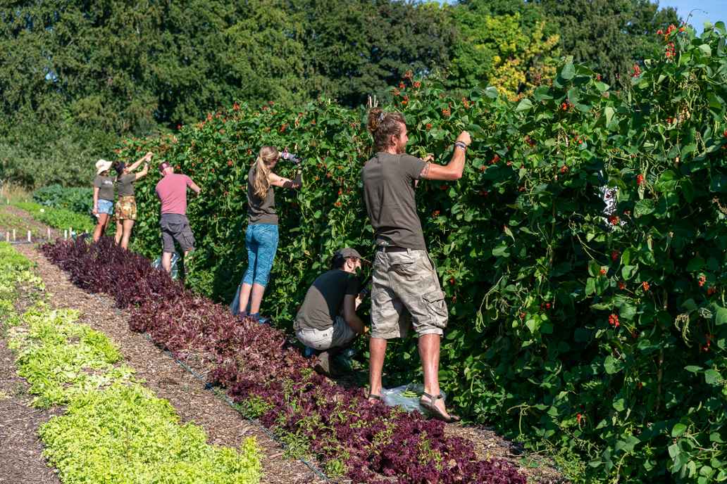 How organic farmers are navigating the cost of living crisis – an ...