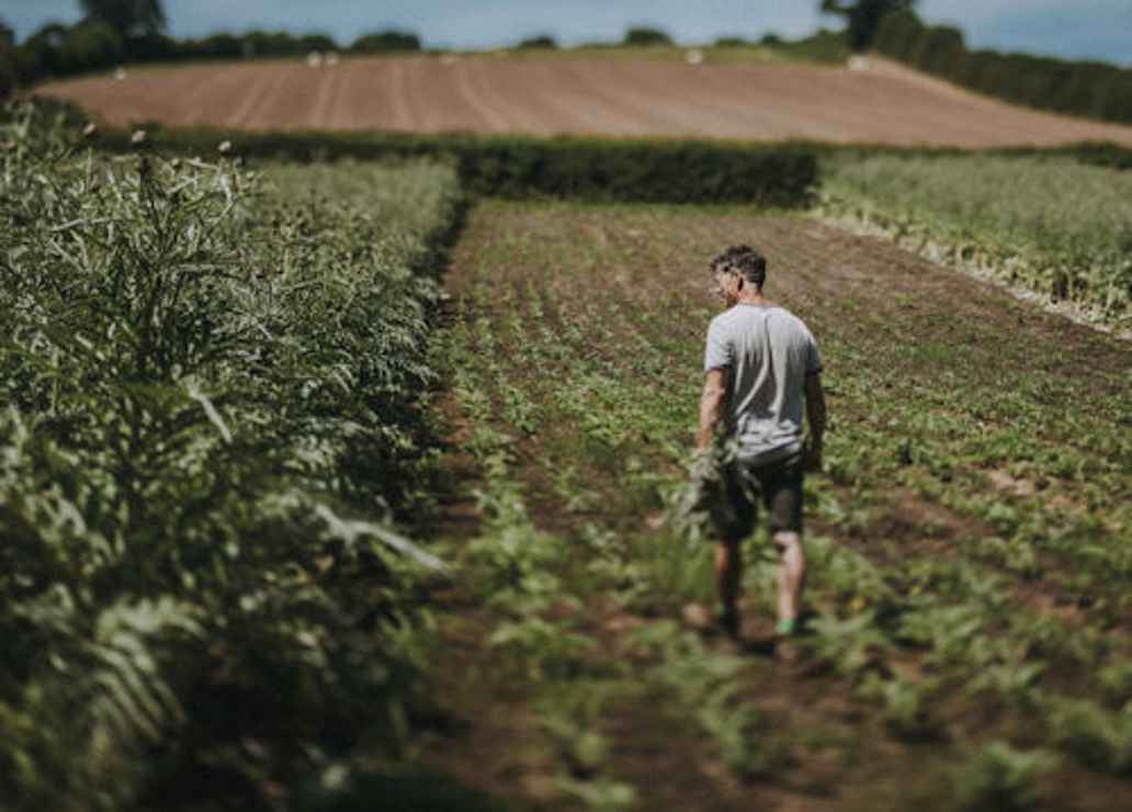 Sympathetic with nature: Guy Watson | Triodos Bank