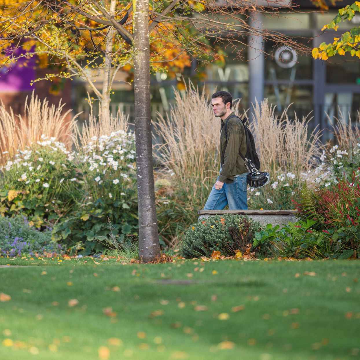 Innovative Finance ISA