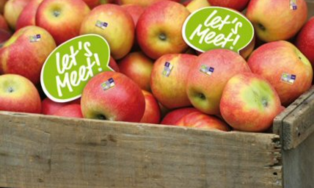 Novedades tecnológicas Melimar | Triodos Bank